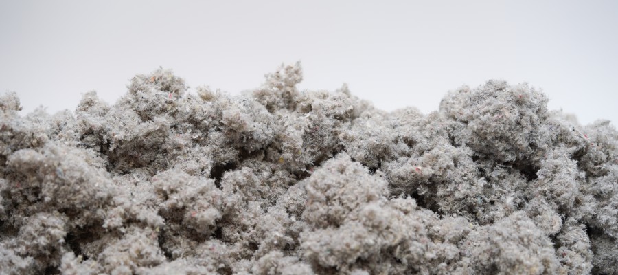 Insulation and Pest Control in One | Russell’s Pest Control - Pest ...